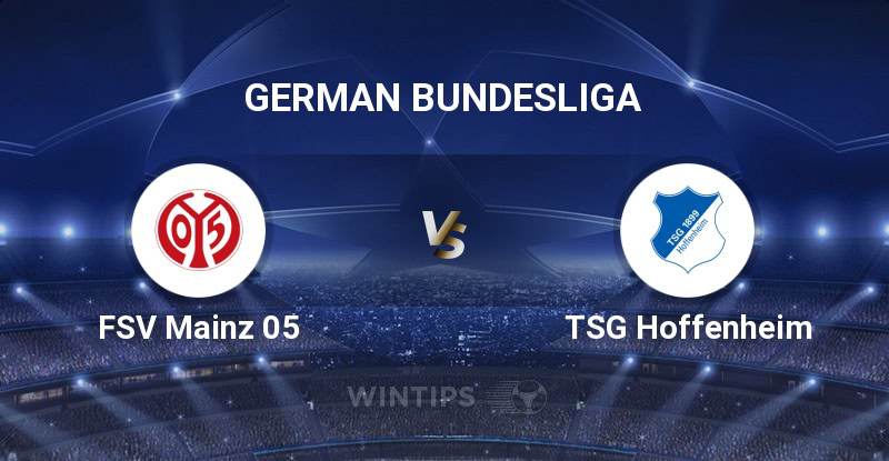 FSV Mainz 05 - TSG Hoffenheim Highlight | German Bundesliga